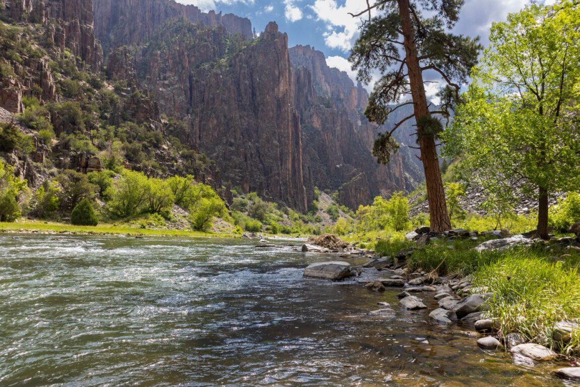 The Best Camping at Black Canyon of the Gunnison National Park ...