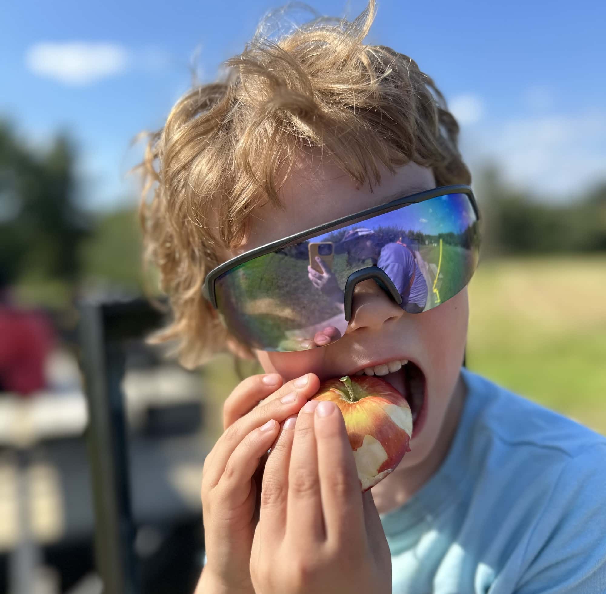It’s Time: The Best Apple Picking in New England - Territory Supply