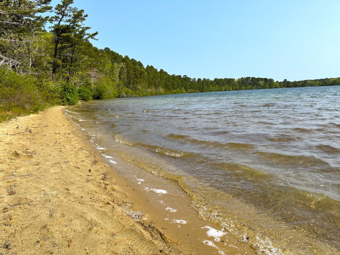 9 Massachusetts Swimming Holes To Help Beat the Heat - Territory Supply