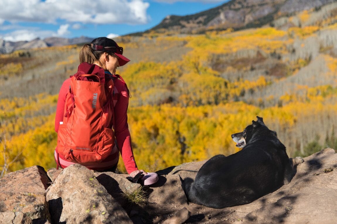 Fall Foliage 101: Why Do Leaves Change Colors in the Fall? - Territory ...