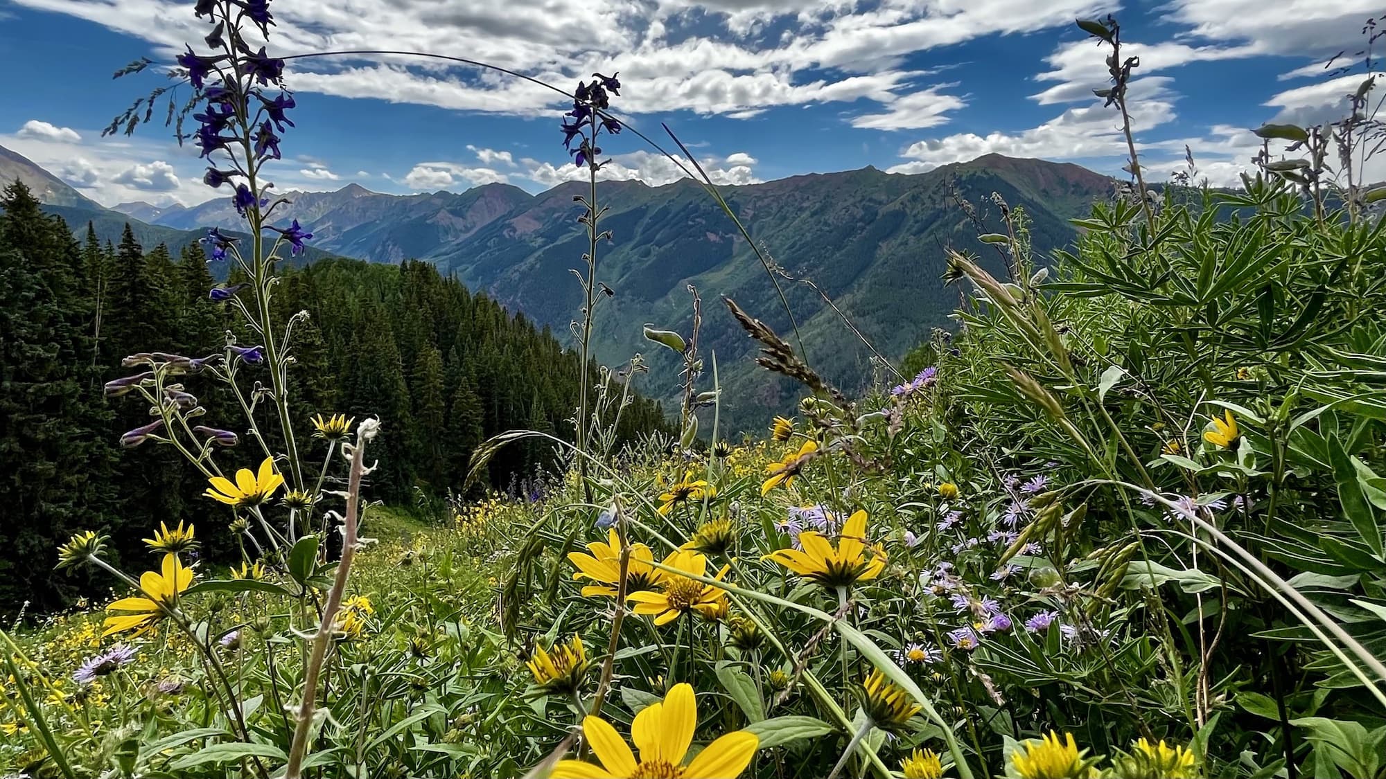 The Best Hiking Trails in the Maroon Bells-Snowmass Wilderness ...
