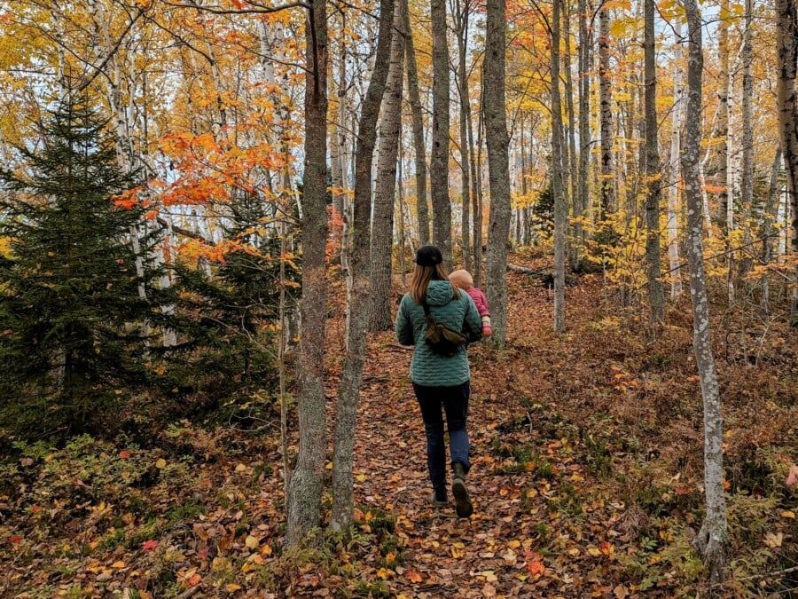 A Hiker’s Guide to the Maine Huts and Trails - Territory Supply